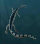 Mesosauridae | Dinopedia | Fandom