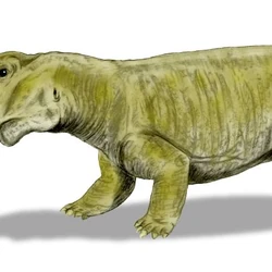 Paleozoic Animals List