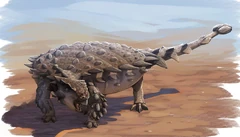 Pinacosaurus | Dinopedia | Fandom