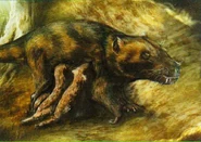 Cynognathus | Dinopedia | Fandom