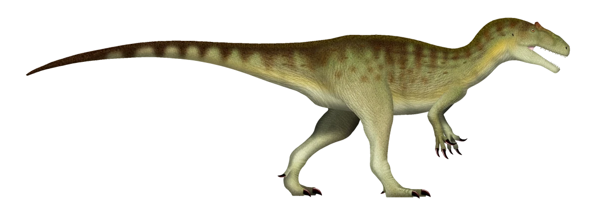 Allosaurus | Dinopedia | Fandom