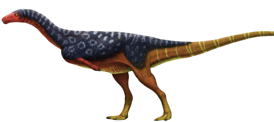 Dryptosauroides | Dinopedia | Fandom