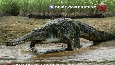 Discuss Everything About Dinopedia | Fandom