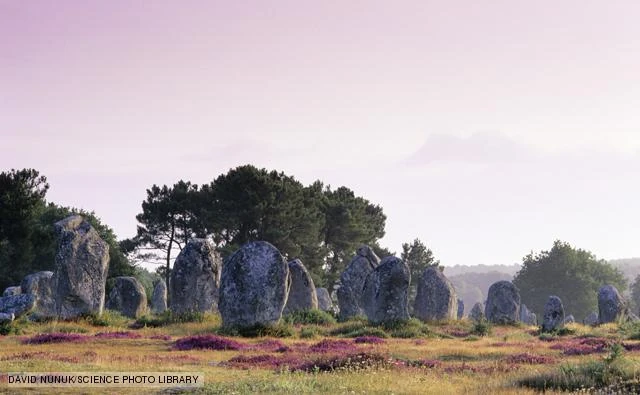 Holocene | Dinopedia | Fandom