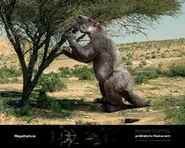 Megatherium | Dinopedia | Fandom
