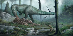 Megalosaurus | Dinopedia | Fandom