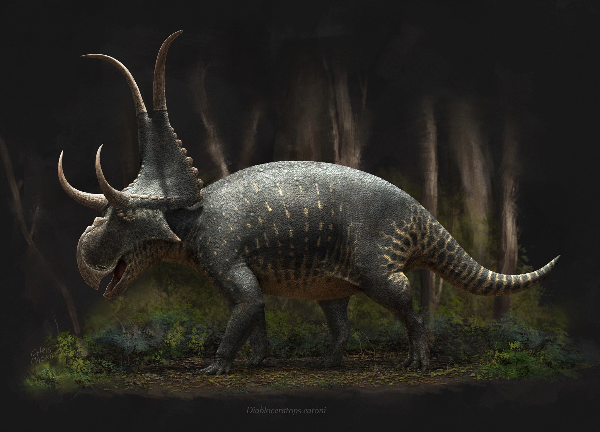 Discuss Everything About Dinopedia | Fandom