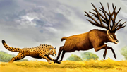 Giant Cheetah | Dinopedia | Fandom