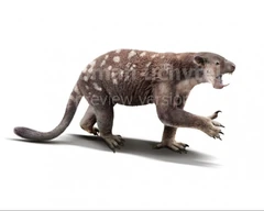 Wakaleo | Dinopedia | Fandom