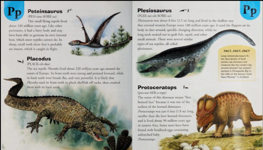 Peteinosaurus | Dinopedia | Fandom