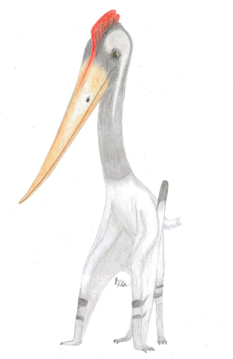 Cretornis | Dinopedia | Fandom