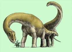 Choconsaurus | Dinopedia | Fandom