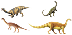 Prosauropoda | Dinopedia | Fandom