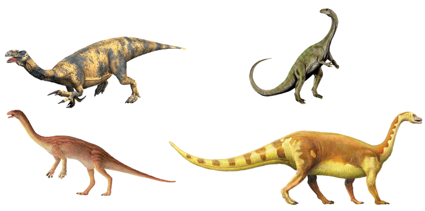 Prosauropoda | Dinopedia | Fandom
