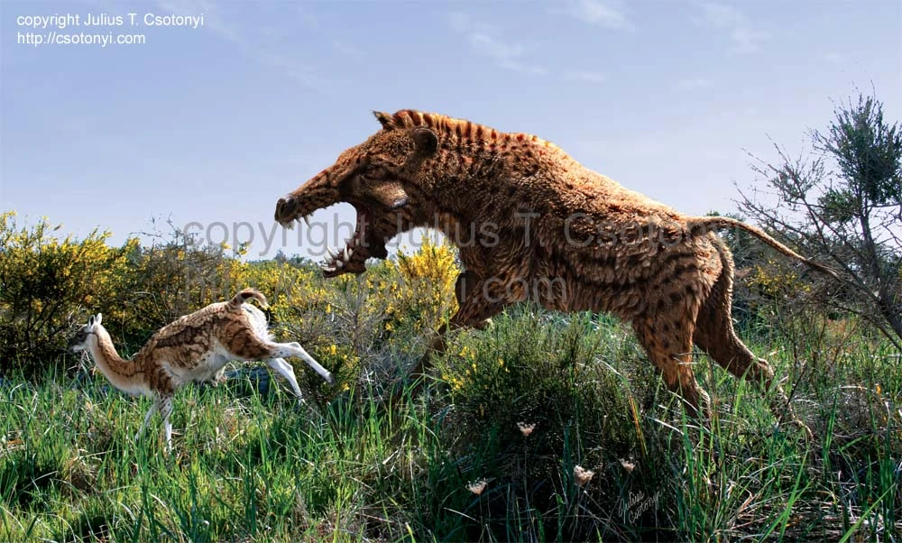 Archaeotherium | Dinopedia | Fandom