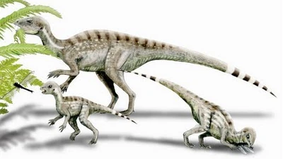 Discuss Everything About Dinopedia | Fandom