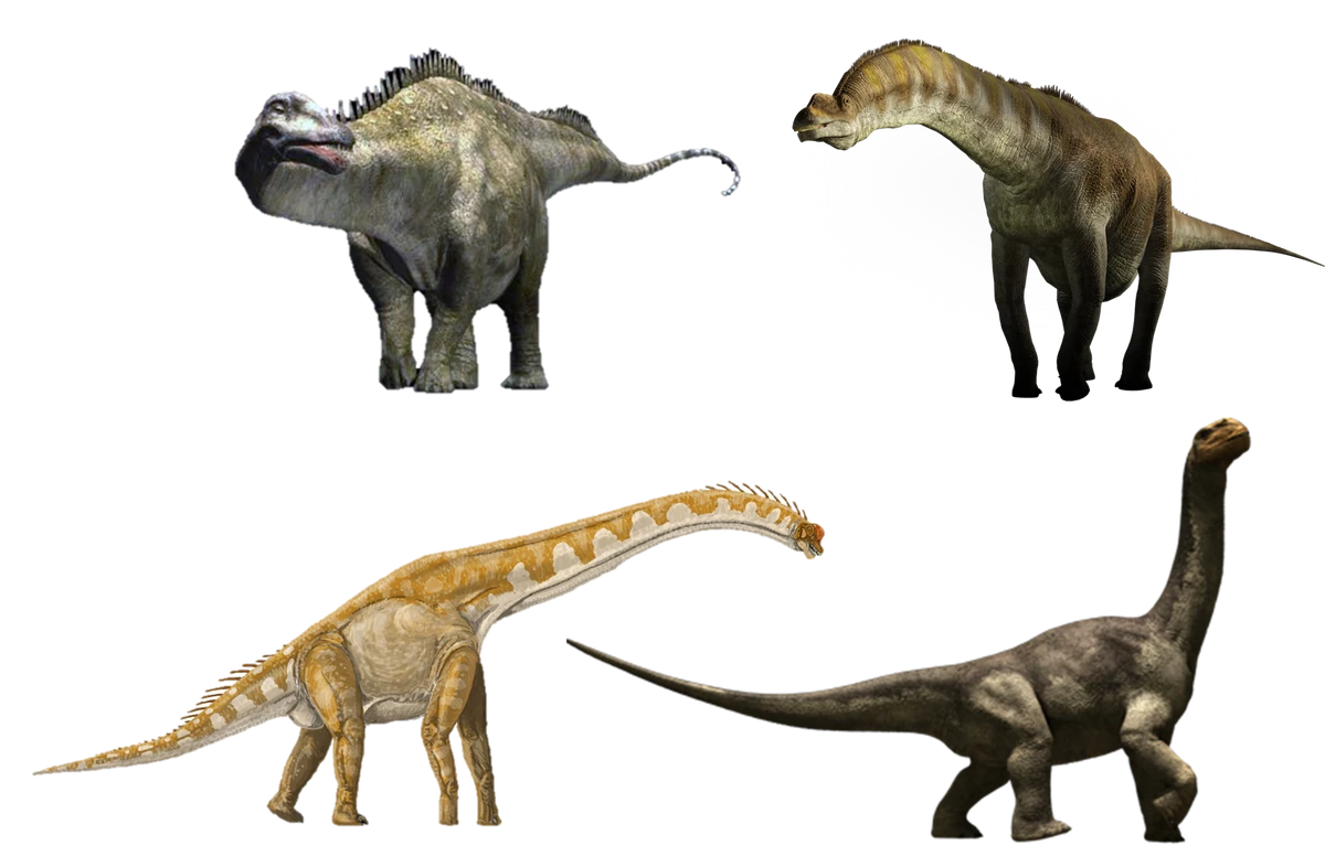 Sauropoda | Dinopedia | Fandom