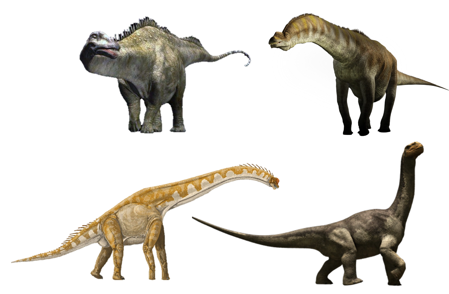 Sauropod Size Comparison