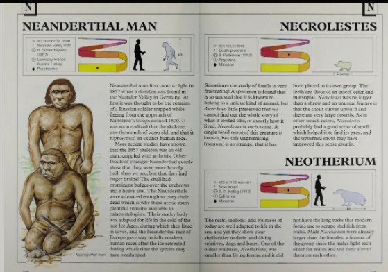Neotherium | Dinopedia | Fandom