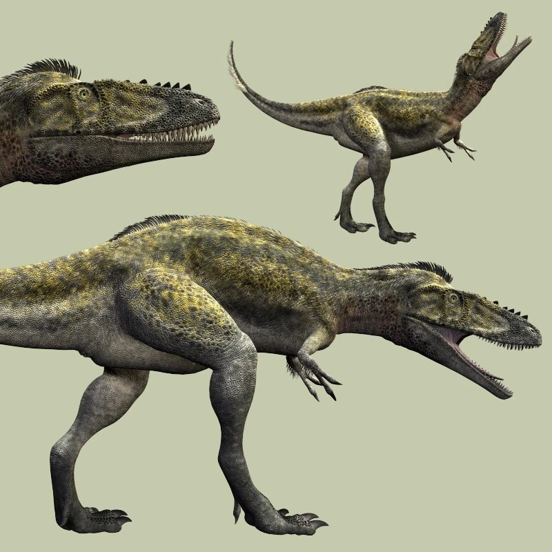 Alioramus | Dinopedia | Fandom