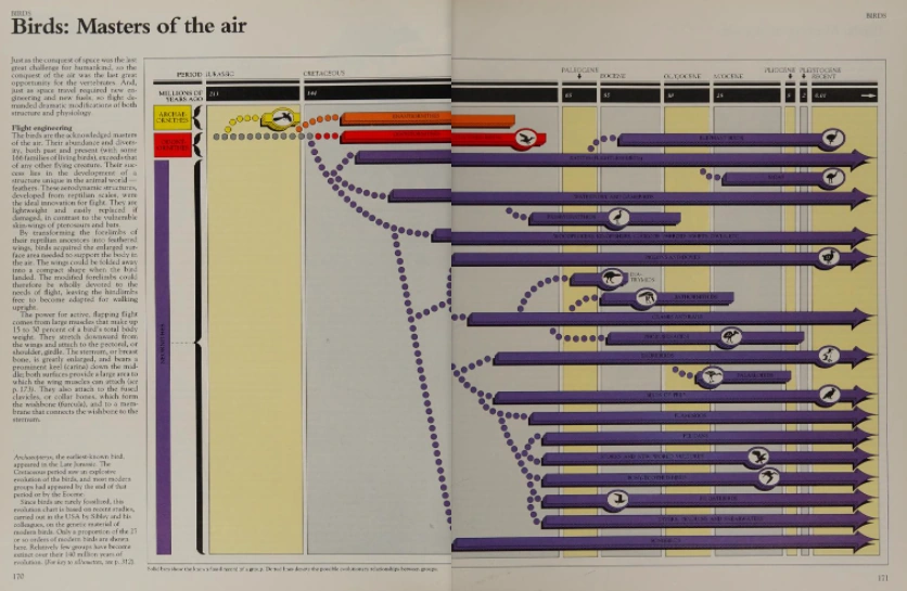 Neocathartes | Dinopedia | Fandom