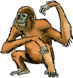 Oligopithecus | Dinopedia | Fandom