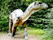 Siamodon | Dinopedia | Fandom