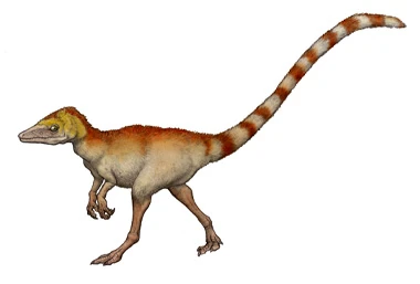 Sinosauropteryx | Dinopedia | Fandom