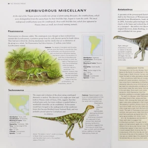 Discuss Everything About Dinopedia | Fandom