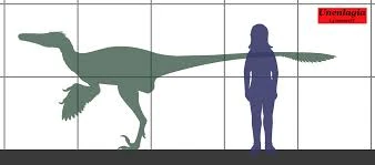 Unenlagiinae | Dinopedia | Fandom