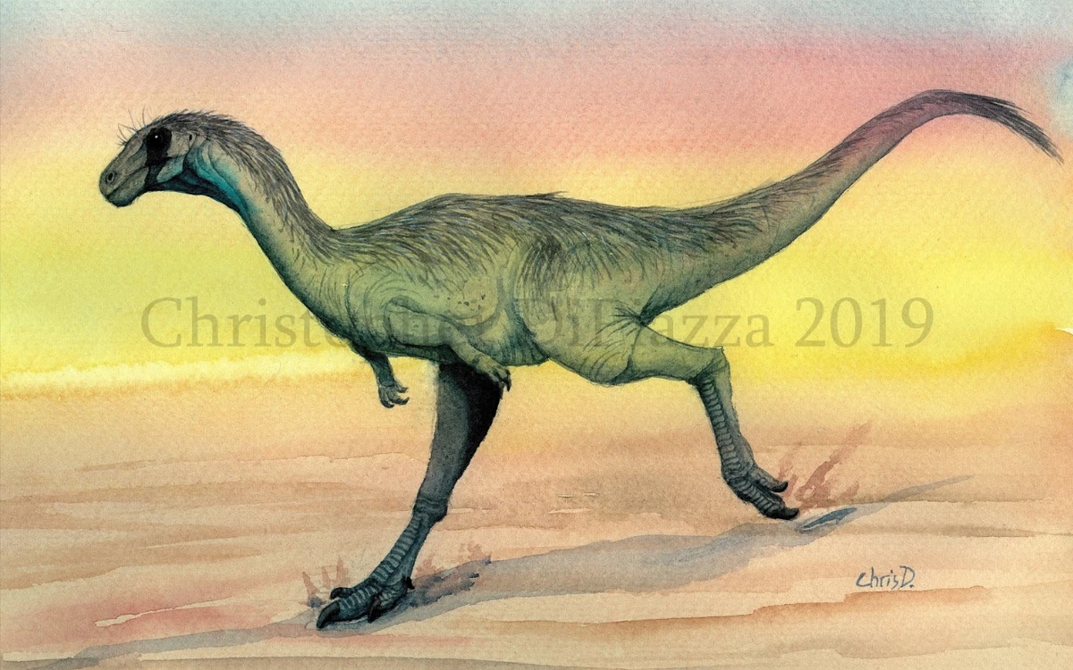 Vespersaurus | Dinopedia | Fandom