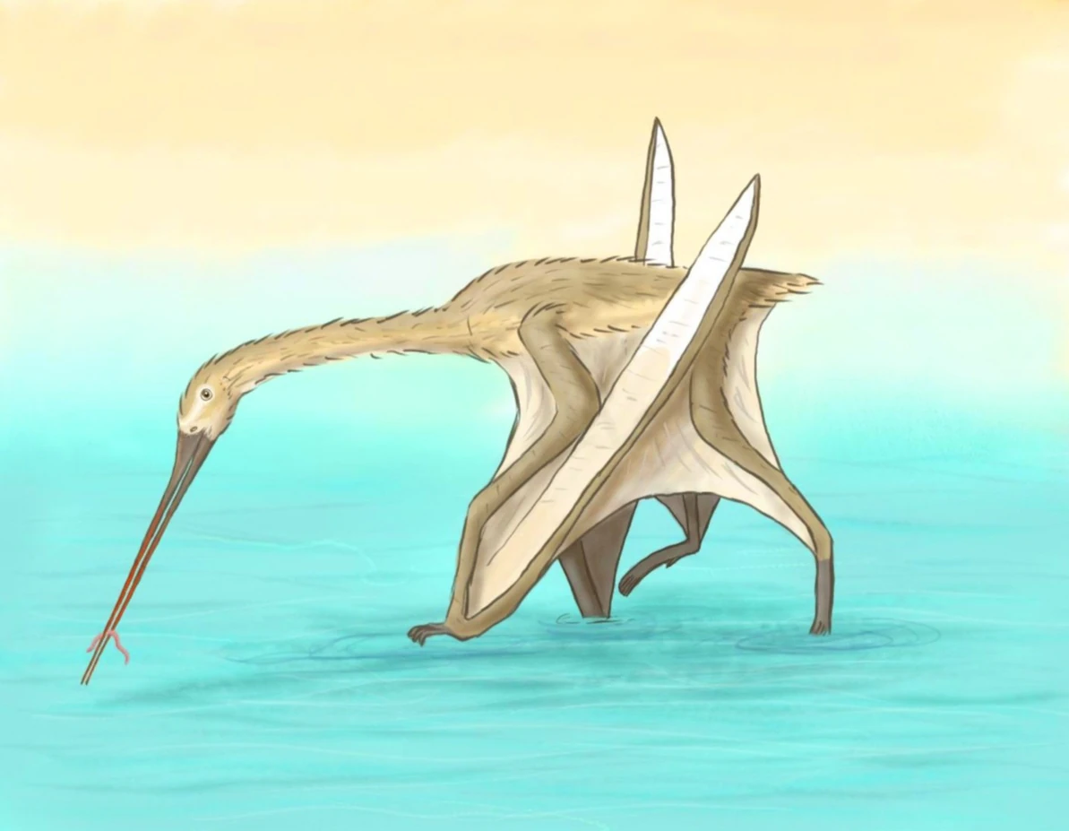 Discuss Everything About Dinopedia | Fandom