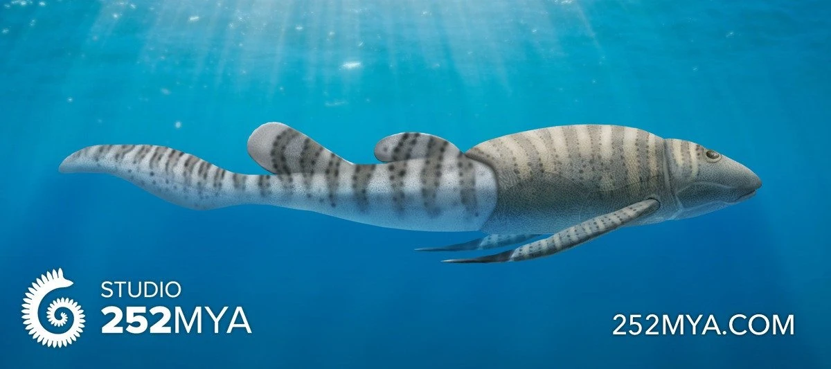 Bothriolepis | Dinopedia | Fandom