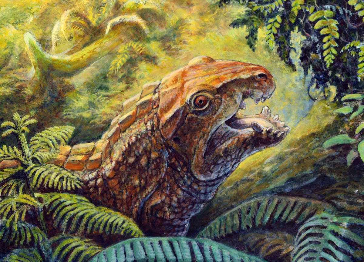 Syntomiprosopus | Dinopedia | Fandom