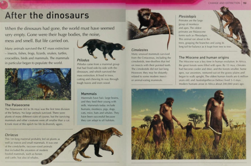 Lesmesodon | Dinopedia | Fandom