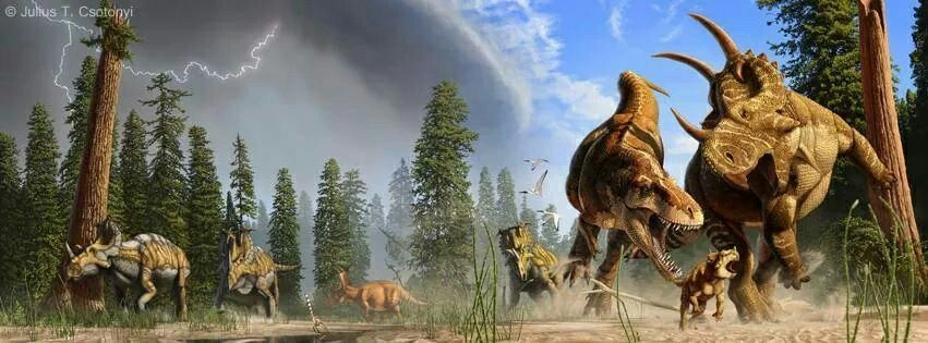 Spinops | Dinopedia | Fandom