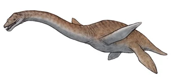 Muraenosaurus | Dinopedia | Fandom