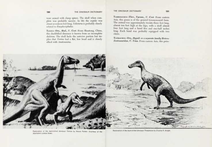 Tatisaurus | Dinopedia | Fandom