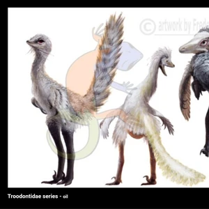 Discuss Everything About Dinopedia | Fandom