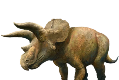 weird dinosaurs documentary