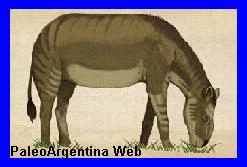 Eomorphippus | Dinopedia | Fandom