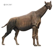 Paraceratherium | Dinopedia | Fandom