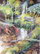 Gastric-brooding frog | Dinopedia | Fandom