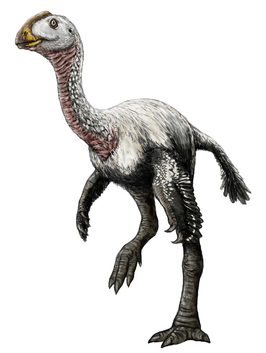 Elmisaurus | Dinopedia | Fandom