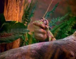 Cacops | Dinopedia | Fandom