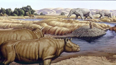 Discuss Everything About Dinopedia | Fandom