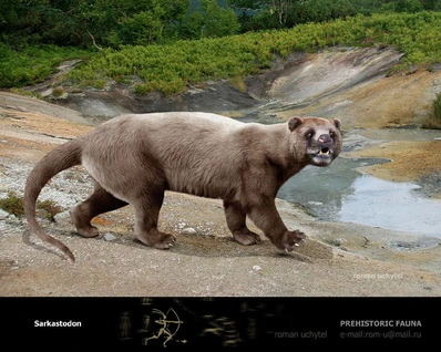 Sarkastodon | Dinopedia | Fandom