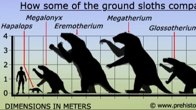 Discuss Everything About Dinopedia | Fandom
