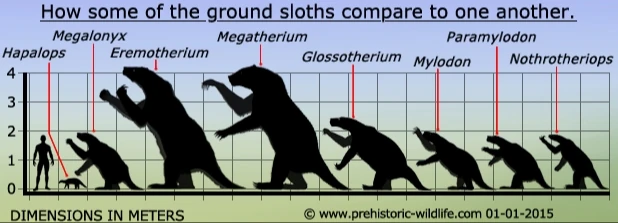 Paramylodon | Dinopedia | Fandom