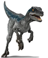 Velociraptor | Dinopedia | Fandom